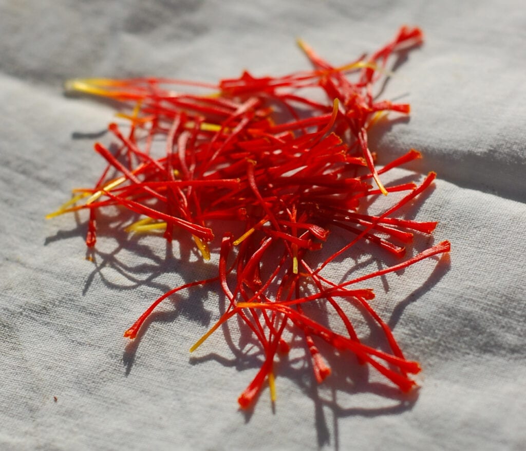 Navelli’s Saffron Queen and the Power of Bling