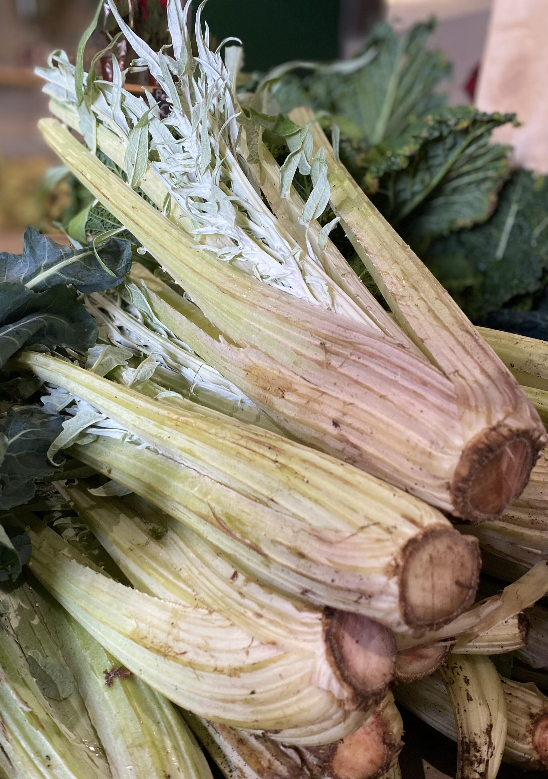 Cardoon Soup - The Start of an Abruzzo Christmas Feast
