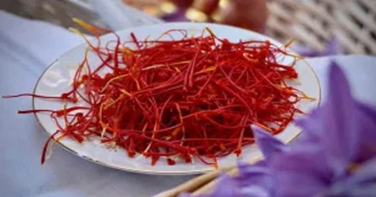 Saffron for Shoes - A Journey & Recipes from Abruzzo