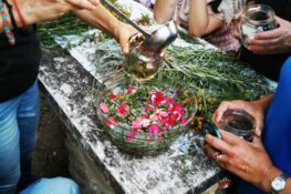 Alanno's Unrivalled Generosity Grape Festival